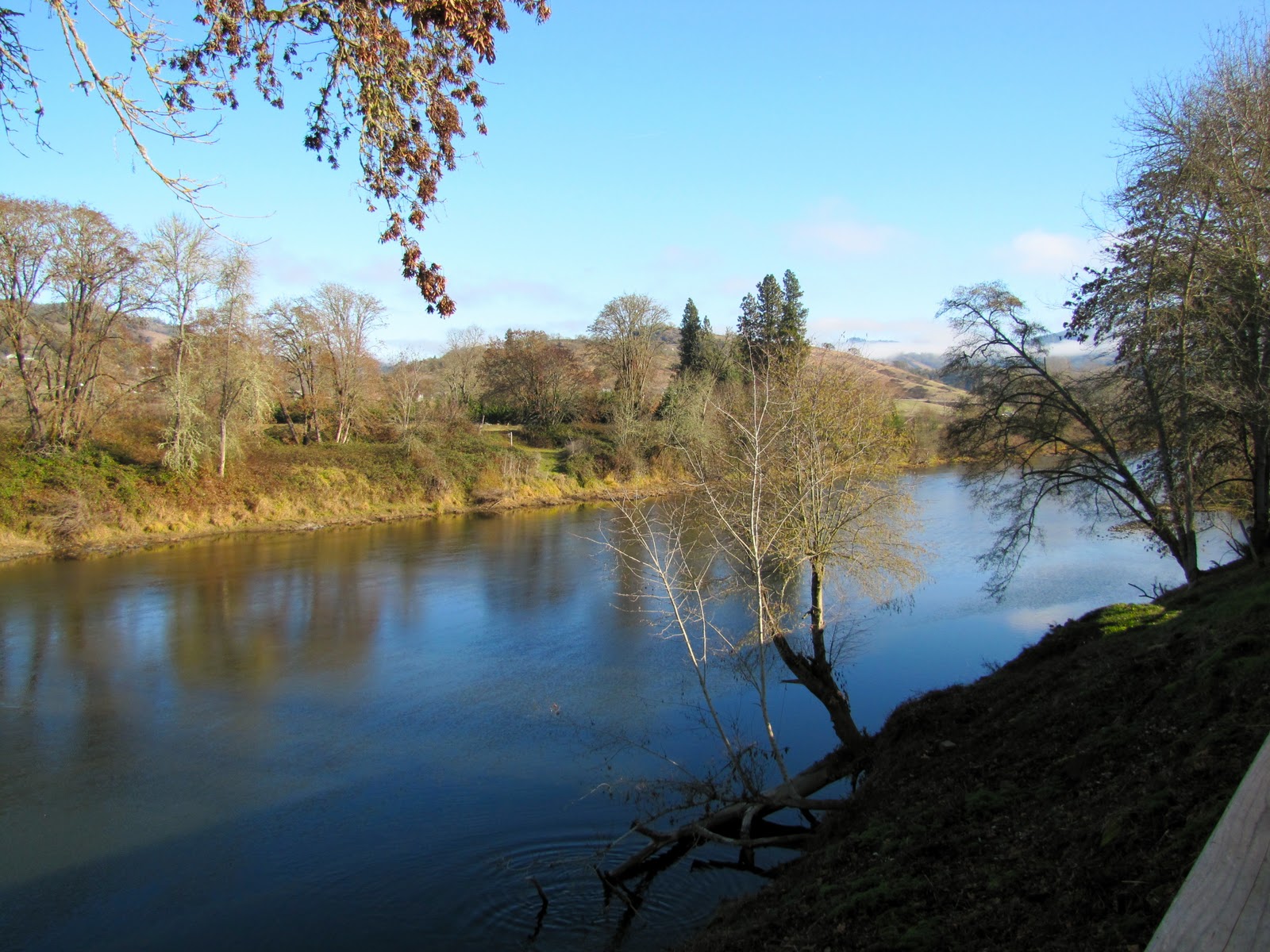 The Oregon Winery Review: Exploring the Umpqua Valley at Pyrenees ...