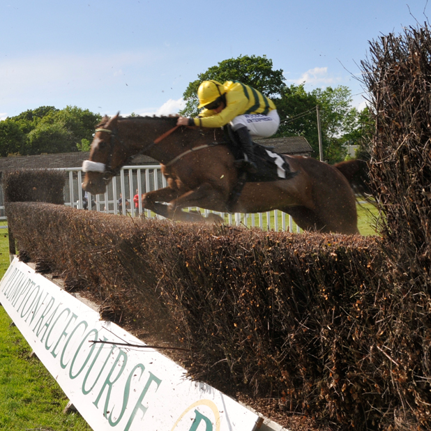 a weblog in the life of a welsh monkey