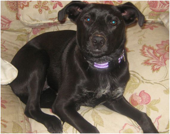 We Sat Down: We sat down for a chat.....with Edyth Bulbring