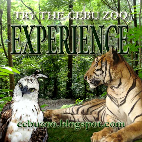 Cebu Zoo: ABOUT