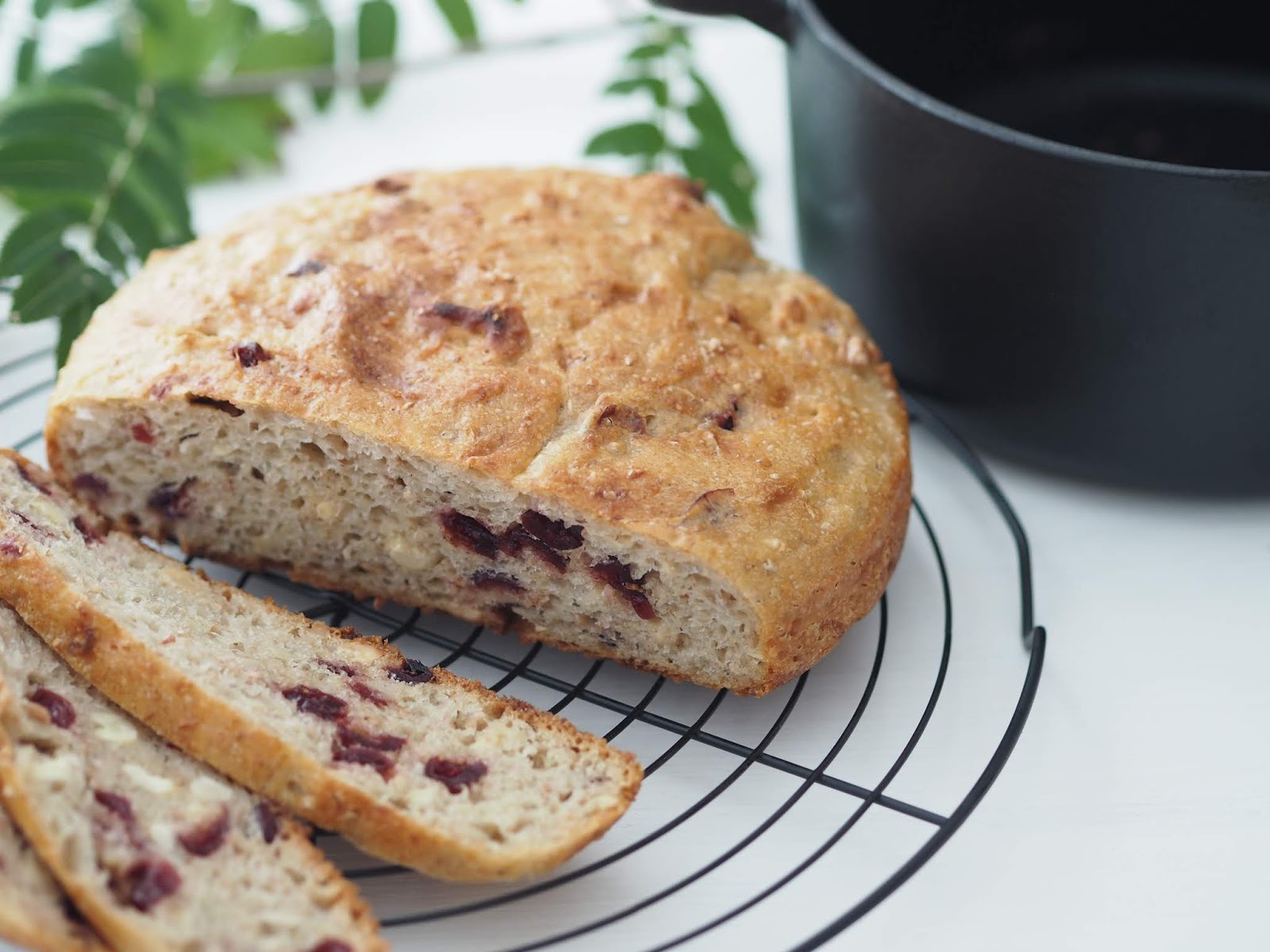 Karpalo-cashewleipä