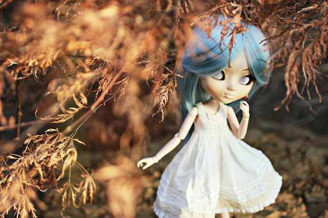 Some Tips On Doll Photography - Vegadoll