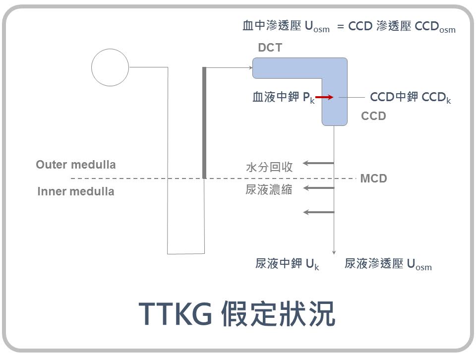 葉時孟醫師 - 高雄五甲、前鎮區佑鎮診所(雙RO洗腎中心): TTKG之生與死