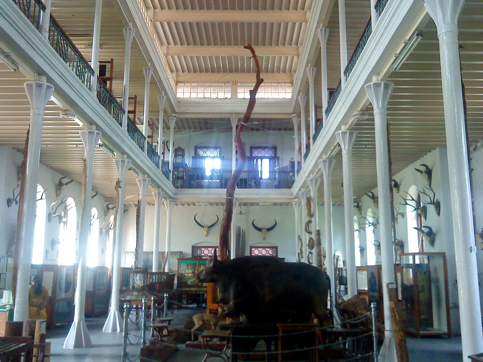 Coimbatore: GASS Forrest Museum