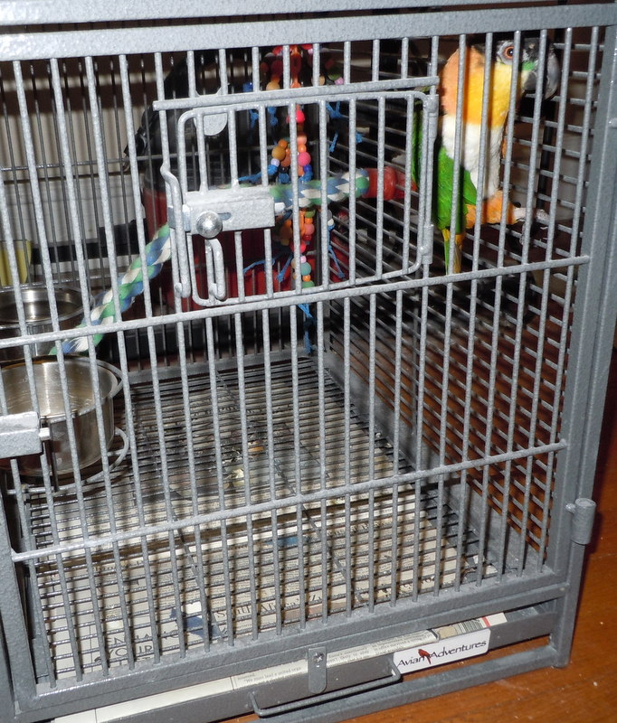 Parrot Musings: Sleep cages!