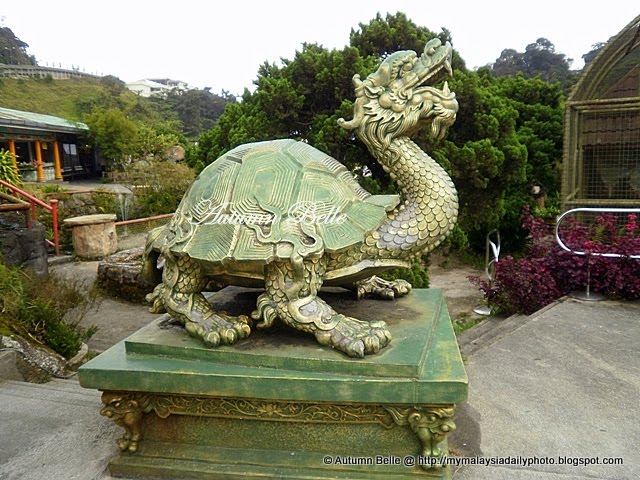 Ghost Writer Boo: The Chinese Dragon Tortoise
