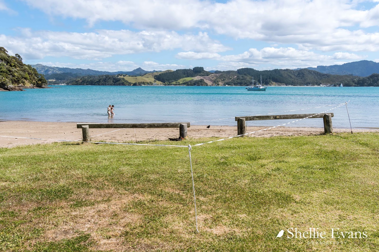 Two Go Tiki Touring: Perfect Puriri Bay- Part 2