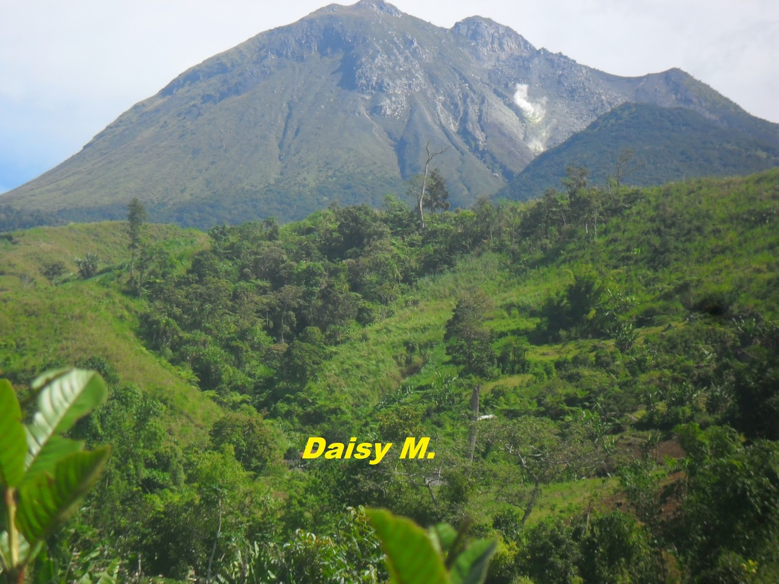 Wanderer Girl: Kapatagan Digos City, Davao del Sur Adventure