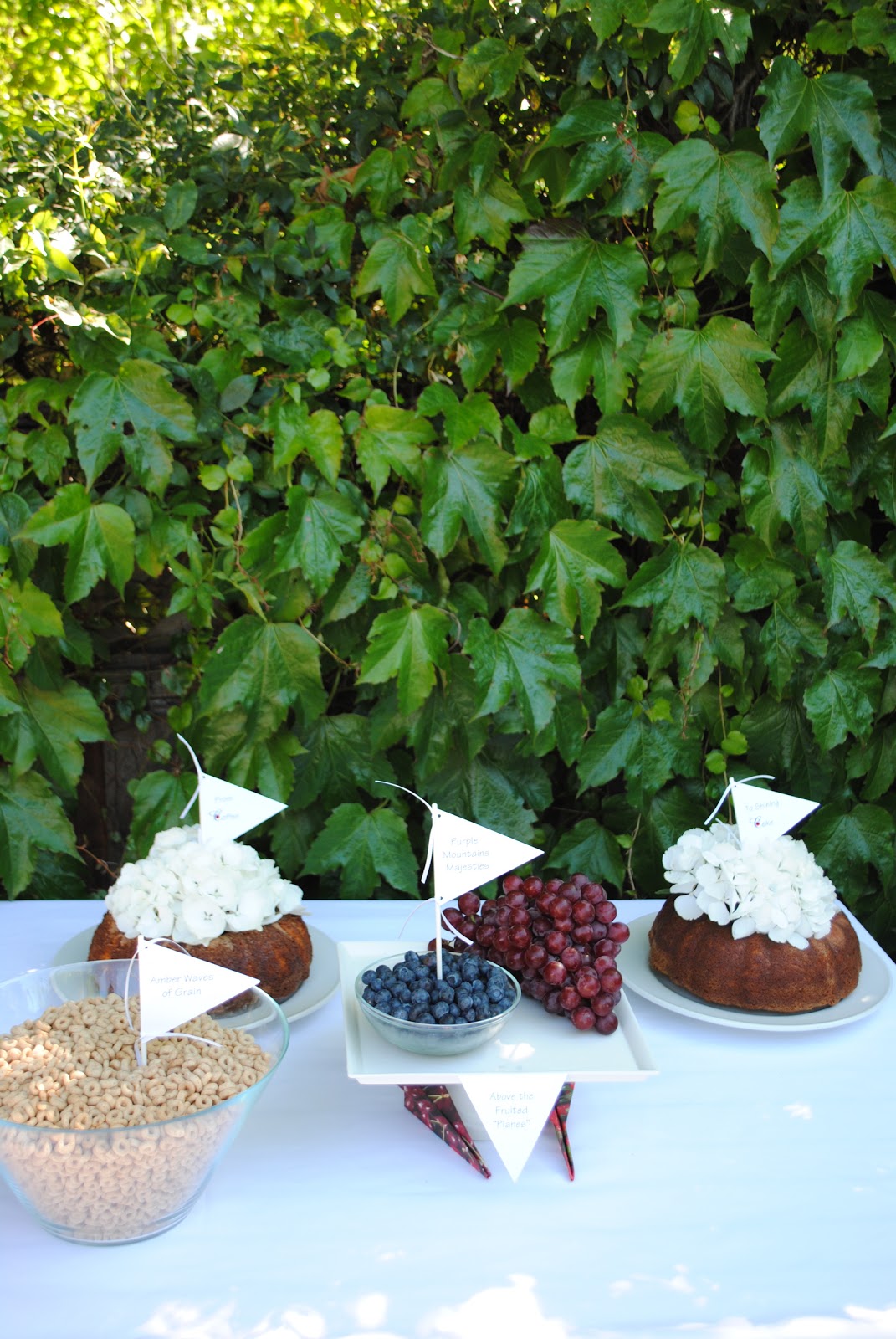 Jac o' lyn Murphy: America the Beautiful Breakfast Buffet