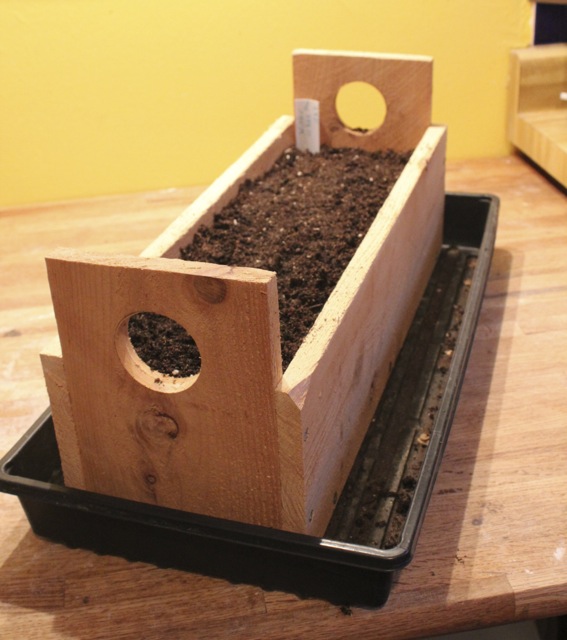 DIY grow boxes | put your shovel where your mouth is