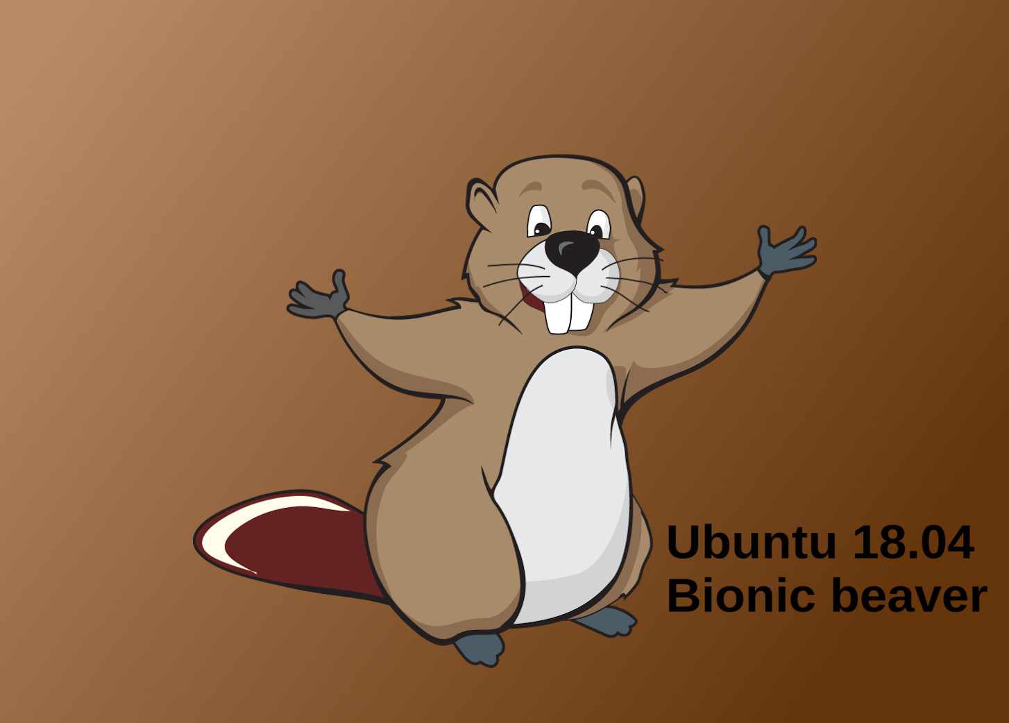 I love ubuntu!: UBUNTU 18.04 BIONIC BEAVER WALLPAPERS!!!!