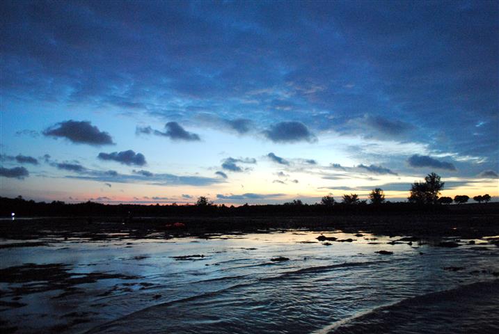 God's wonderful creation: National Day field trip at Pulau Semakau