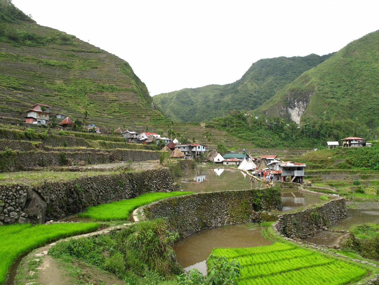 Hiking the Rice Terraces - Batad, Cambulo and Bangaan ~ Derek's Travels