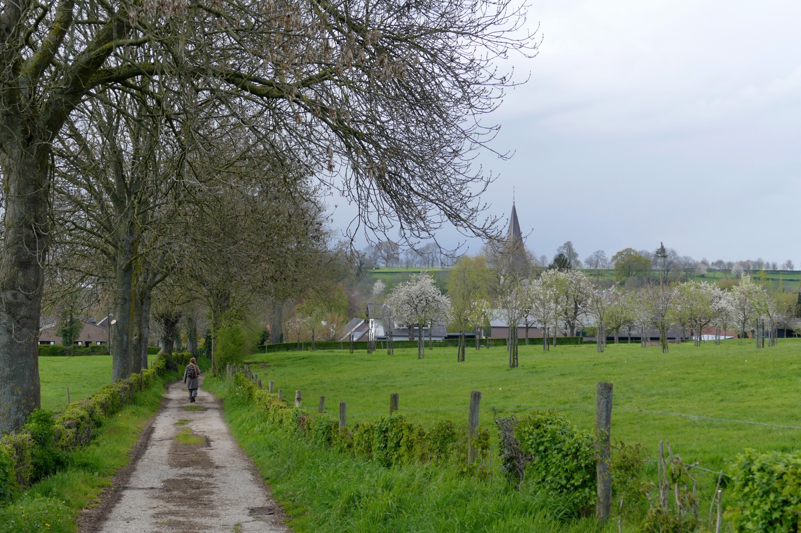 R&R.Natuurlijk: Noorbeek: Hemelse contrasten en aardse tonen