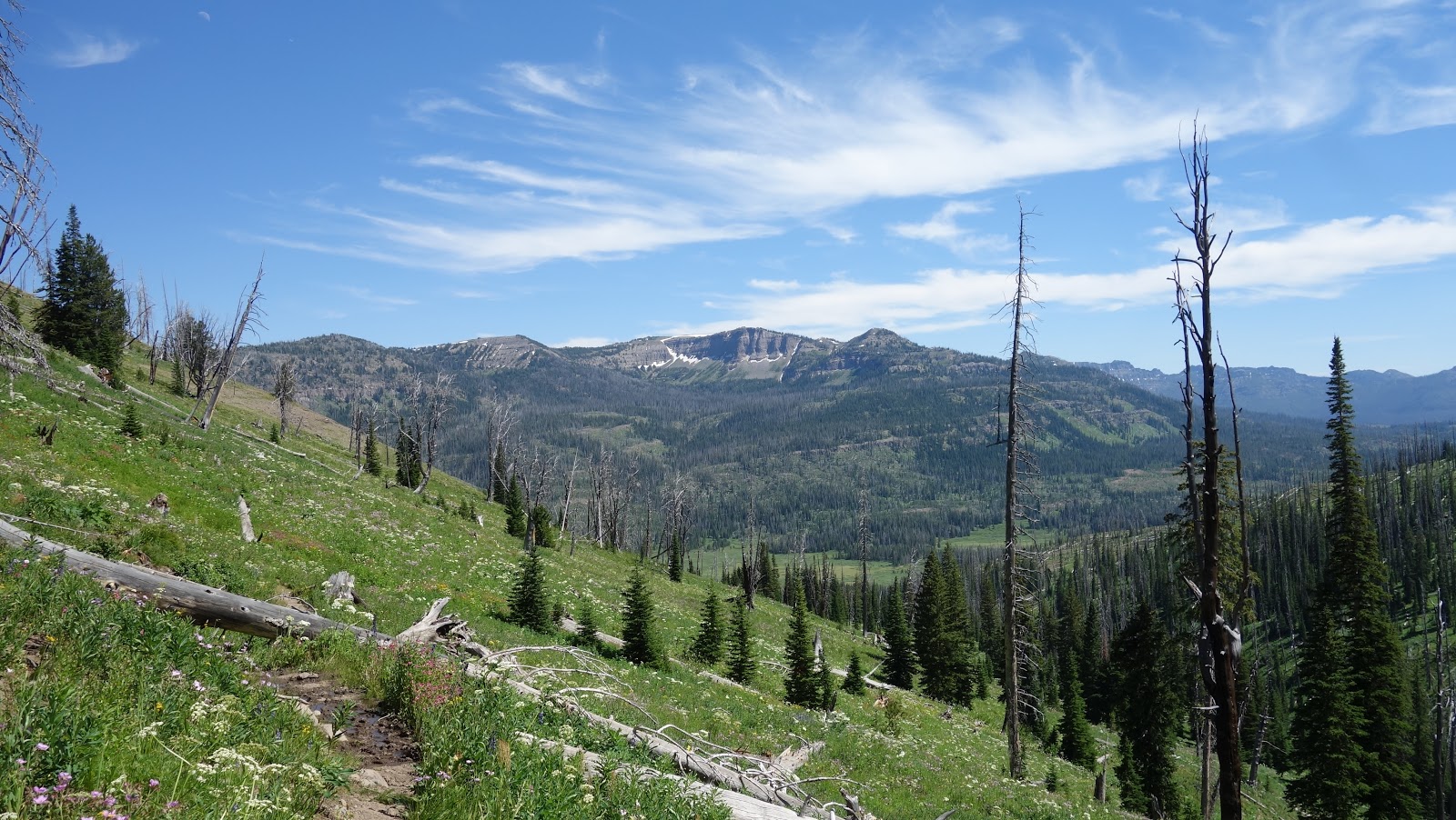 Across the Wilderness: Continental Divide Trail: Togwotee Pass ...