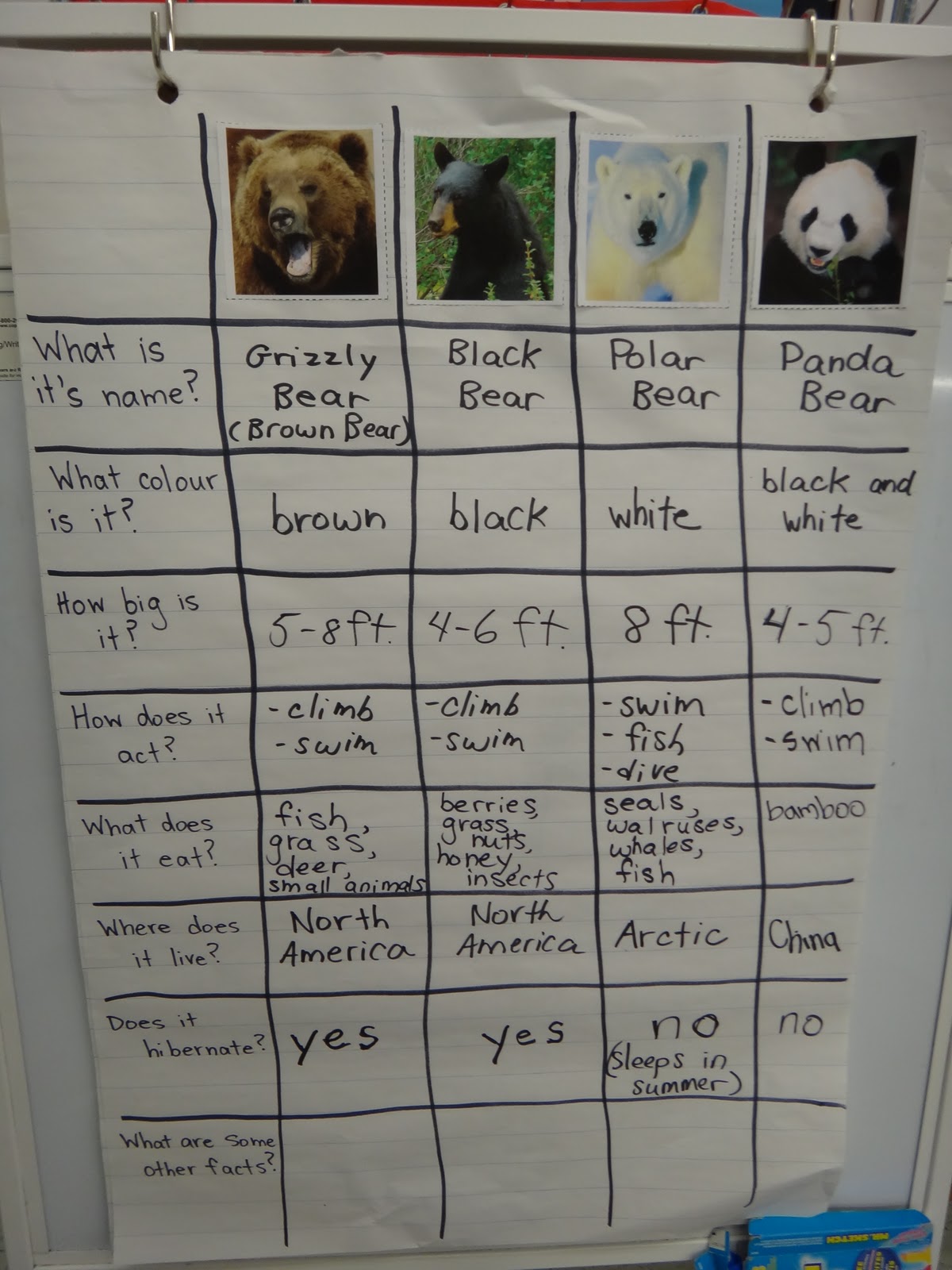 First Grade Garden: More Bears!