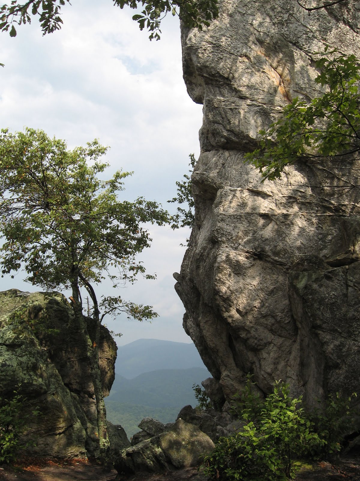 Charlottesville Chapter of the Potomac Appalachian Trail Club: Dragon's ...