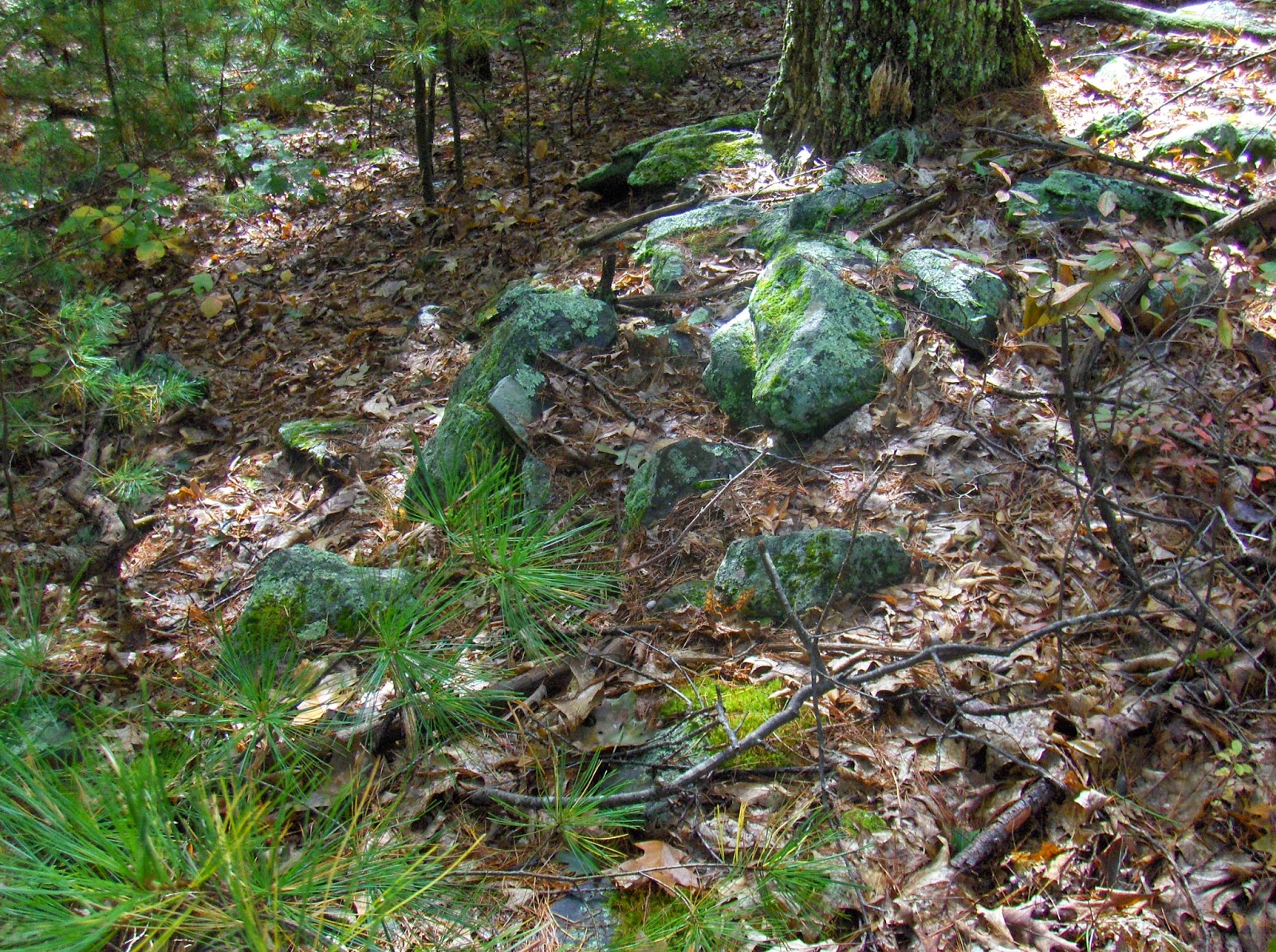 Rock Piles: Crystal Springs - wherein Peter explores an old site, takes ...