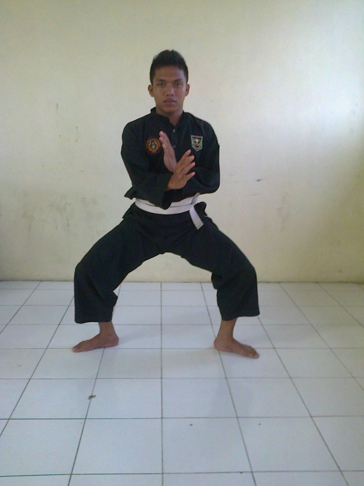 apricon: kuda-kuda dalam pencak silat