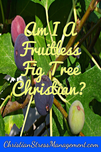 Christian Stress Management: Am I a Fruitless Fig Tree Christian?