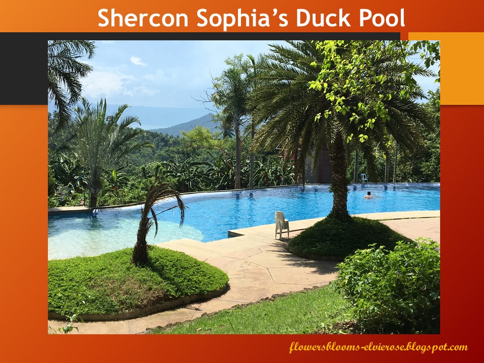 FLOWERSBLOOMS by "Elvie": A Great Team Building At Shercon Resort ...