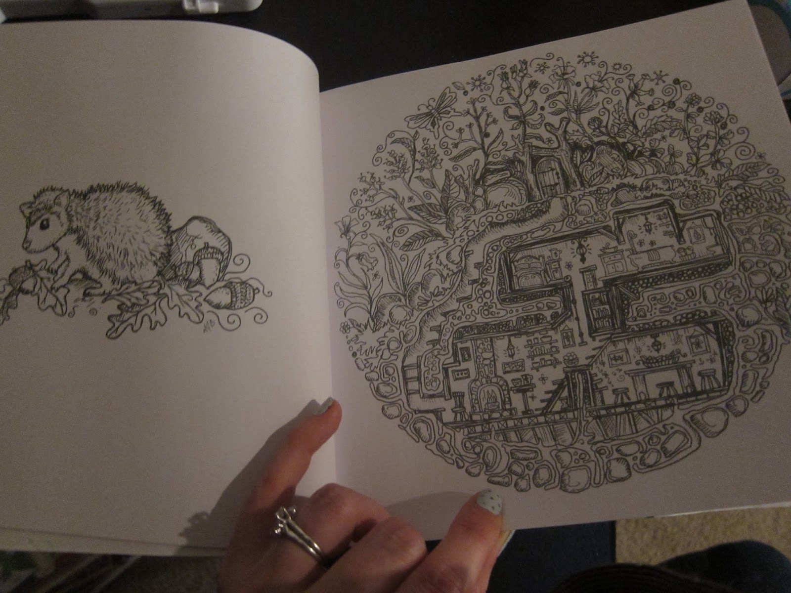 The Idea Book: Adult Coloring book review and each medium used