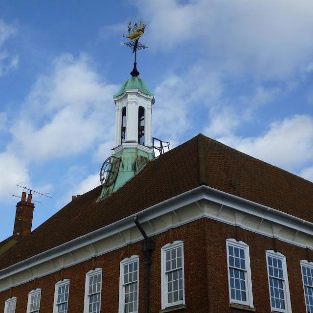 Bugs and Fishes by Lupin: The Farnham Heritage Trail