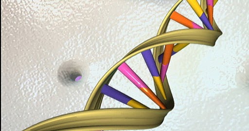 Historical Triumphs and Disasters: The discovery of DNA's double helix ...