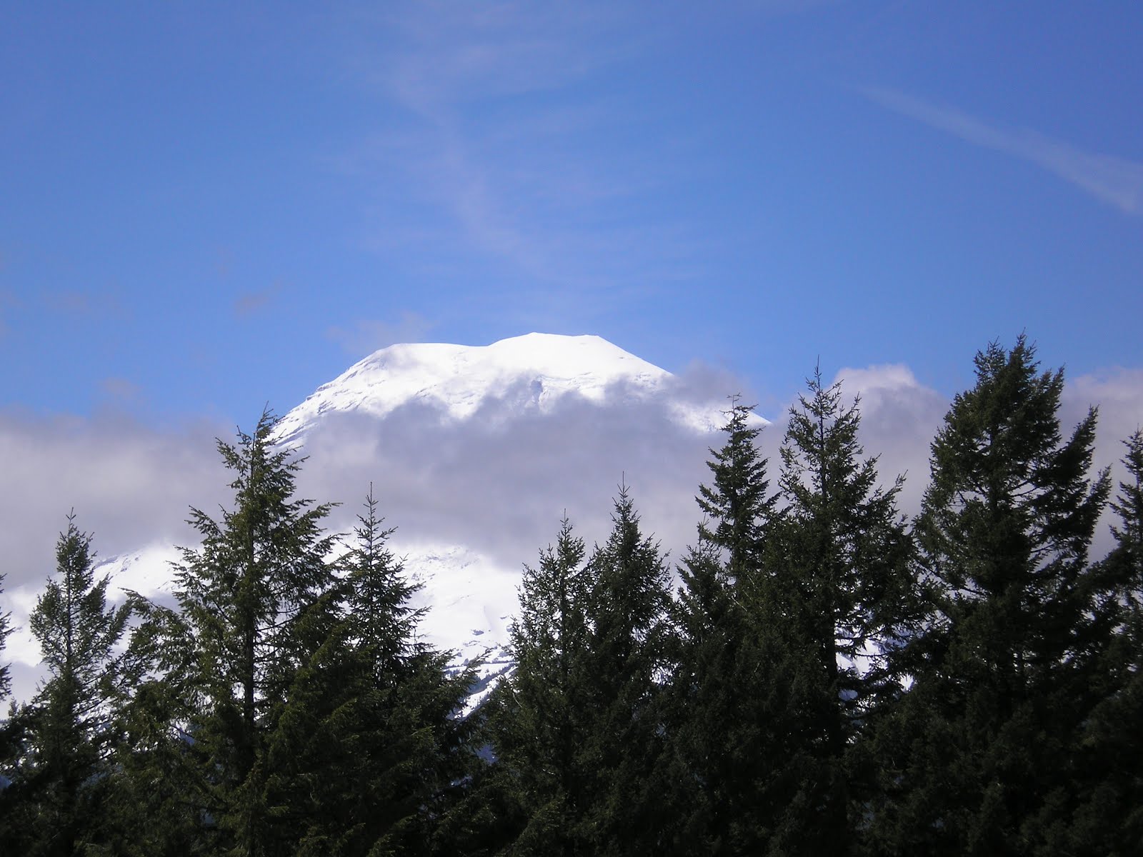 The Road Genealogist: Preview of Mount Ranier National Park Photos