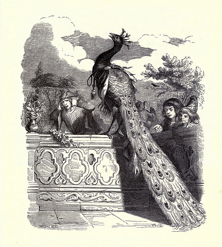 Lecturas, yantares y otros placeres: El pavo real y la diosa