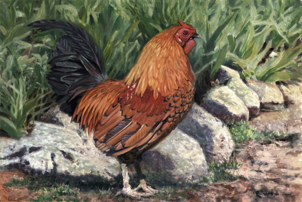 The Art and Memoires of Richard Hedgecock