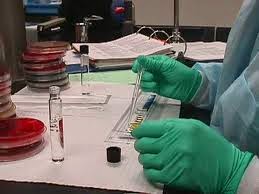 Clinical microbiology ppt. ~ Nursing Path