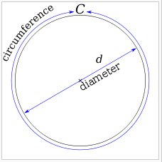When, Who and How?: WHAT IS THE AVERAGE PENIS SIZE?