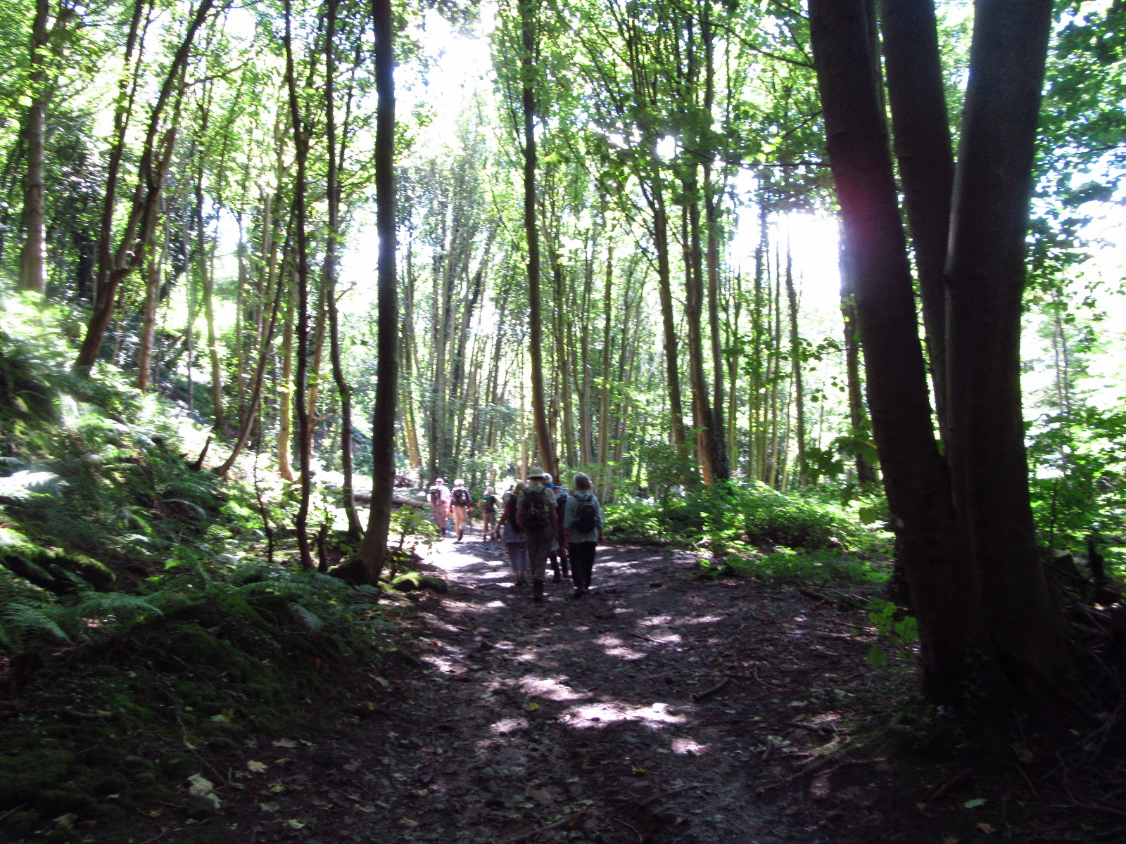 Bunny Mummy: Hilly Fields