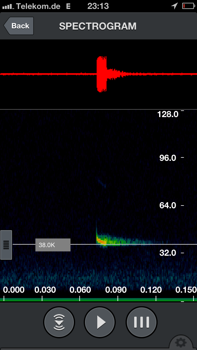 Birds & Bats: Which bat species do these spectrograms belong to?
