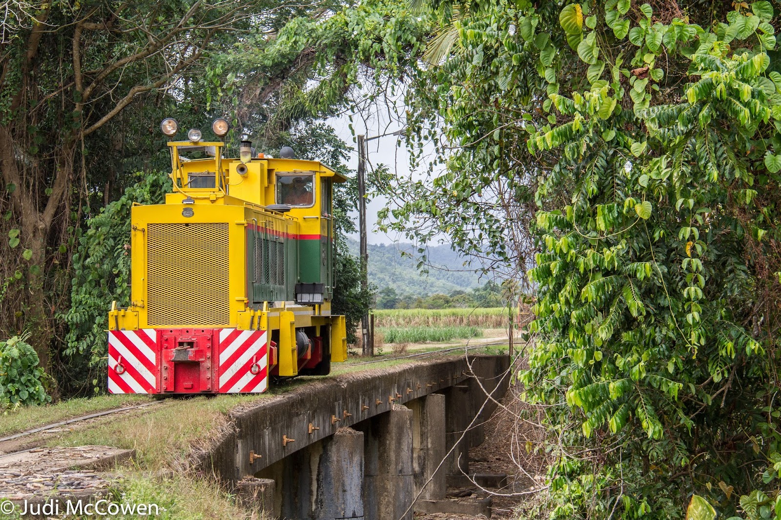 JUstDreamInparadise: Cane Trains