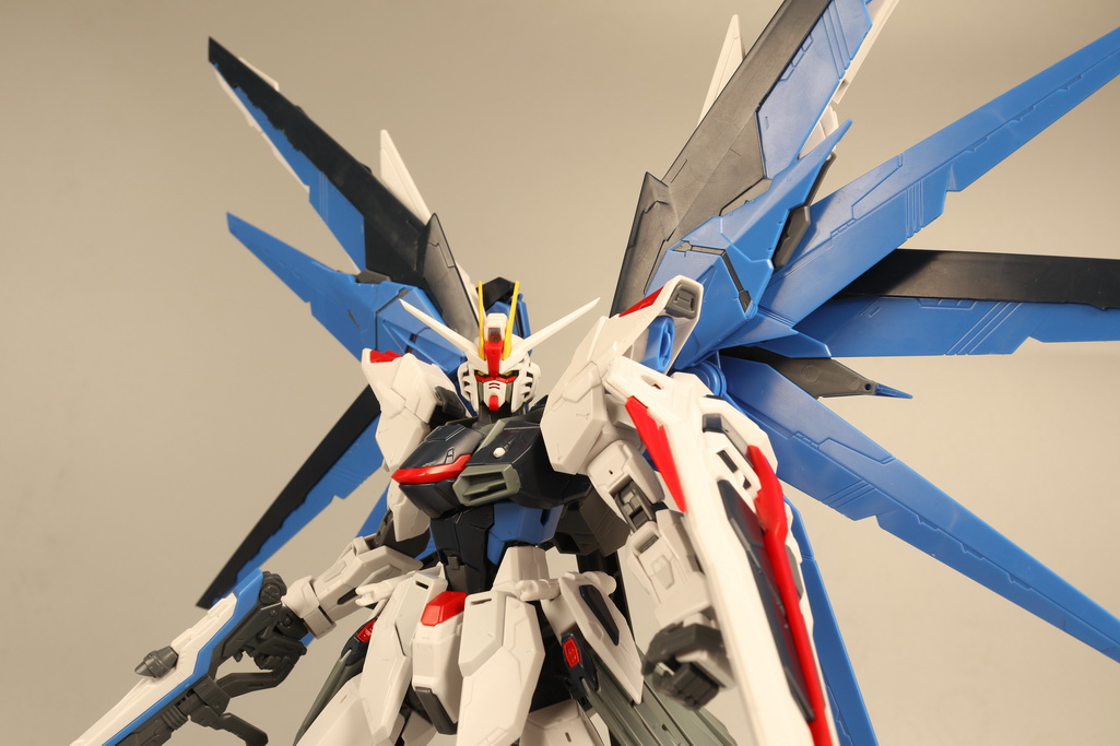 nu Type: Daban Model 6650 Freedom ver.2.0 (review)