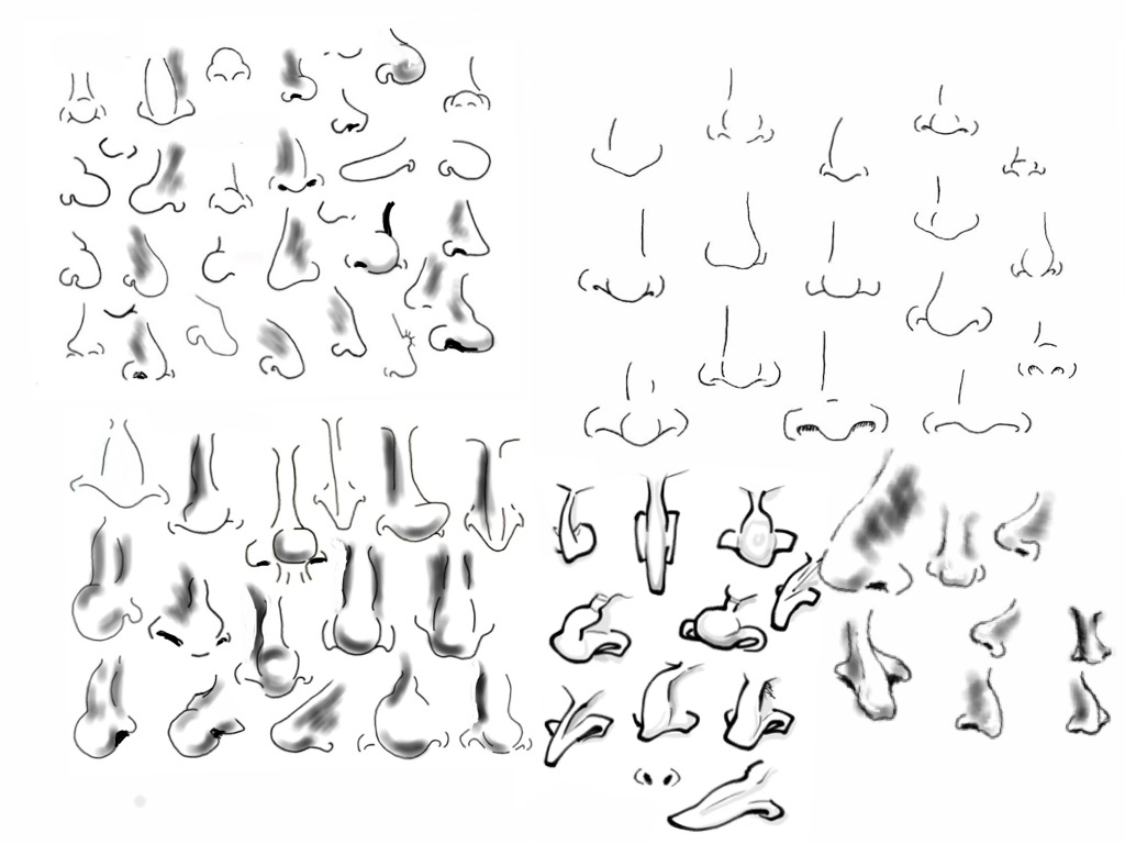 Cartoon Noses Front View