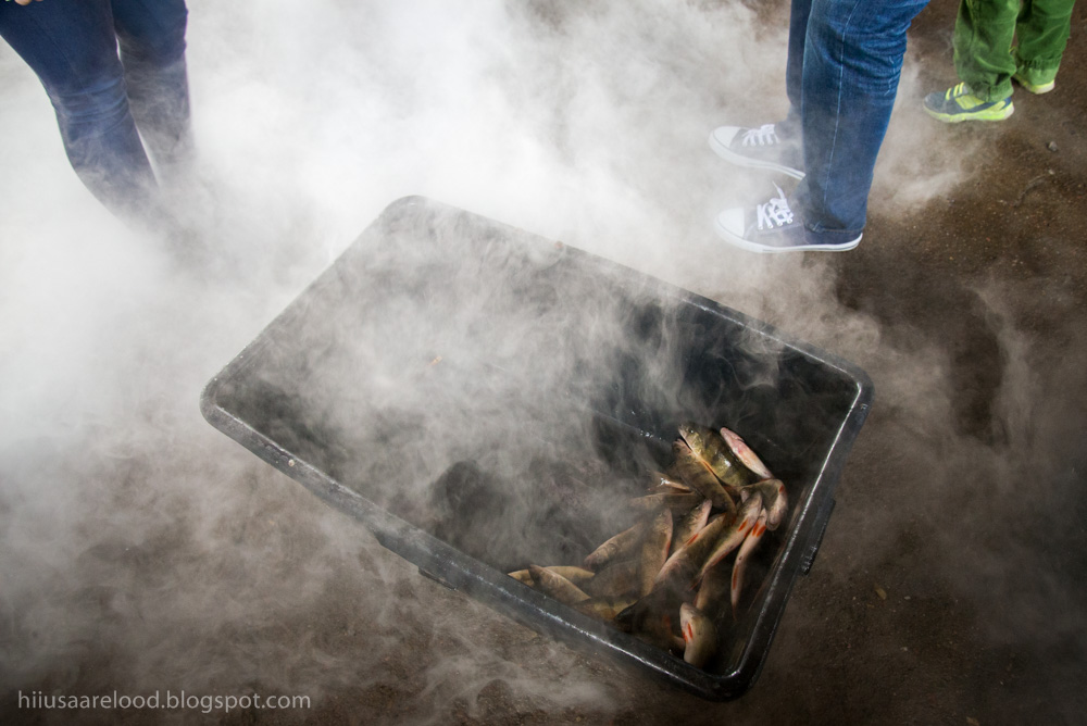 pealkirjata: uduahvenad