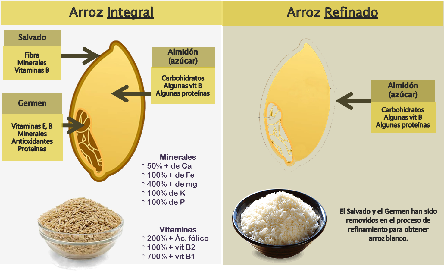 ACAsano: Refinado vs Integral