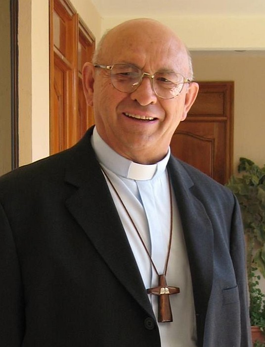 Zakony i zgromadzenia zakonne na świecie: Misjonarki Służebnice Słowa