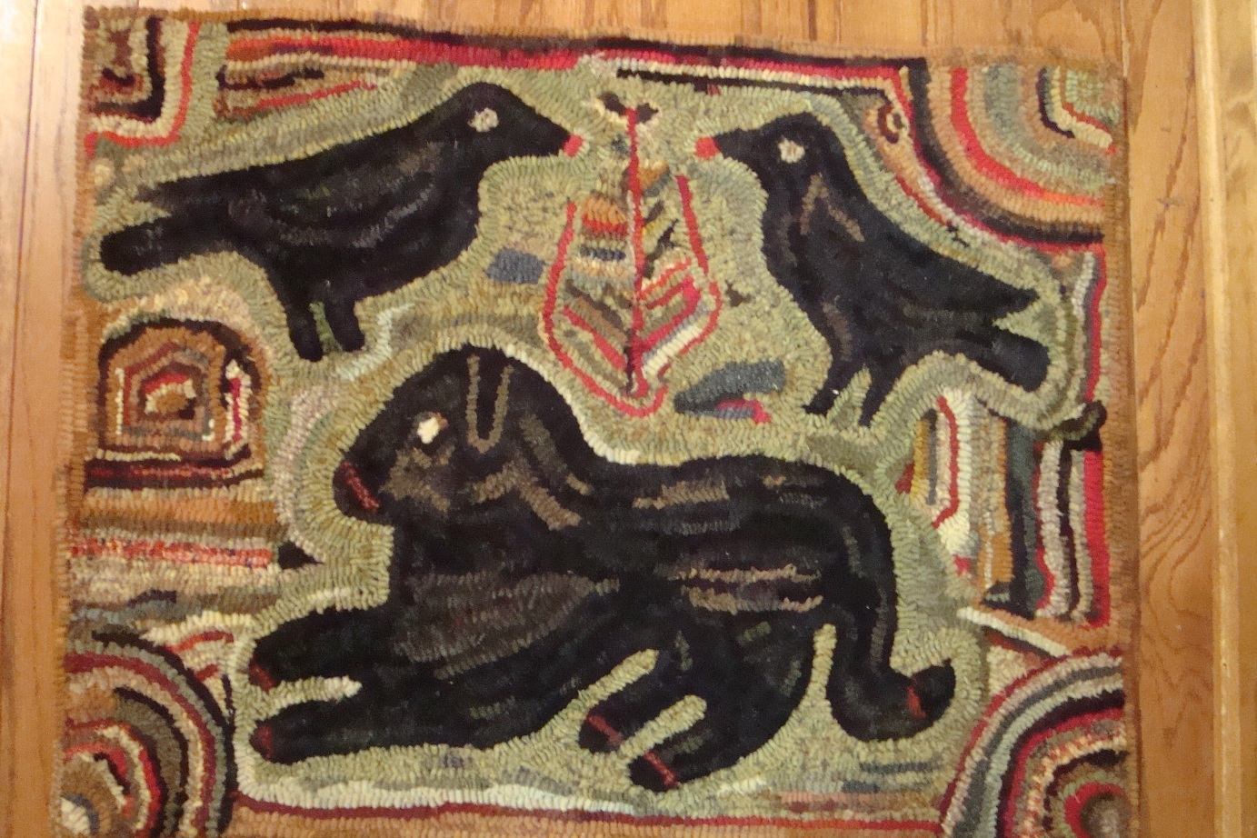 Saundra of Woodland Junction: Magdalena Briner