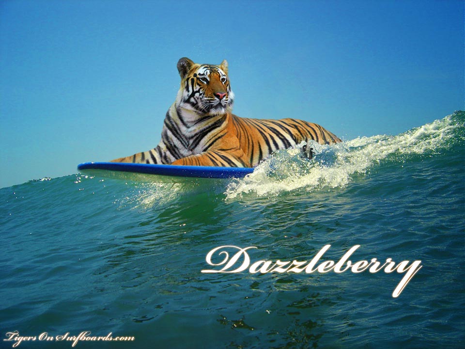 Tigers on Surfboards