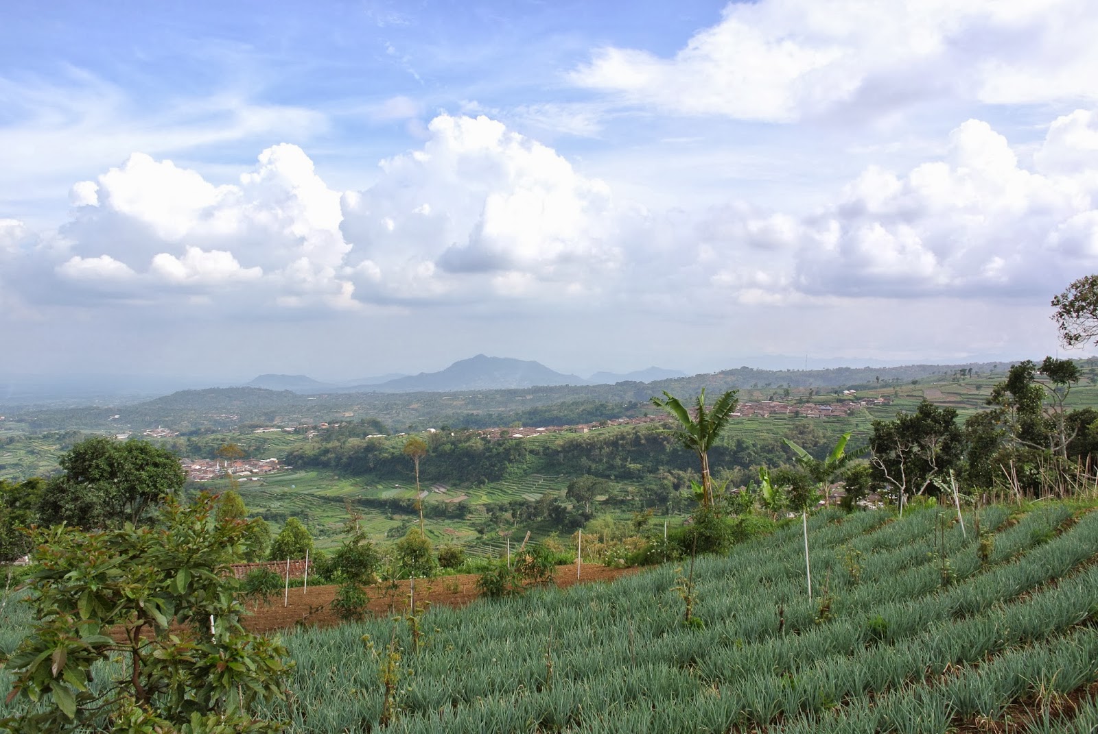 .: Temboro kampung yang perlu dimalui (Bhg 2)