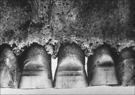 The Norse Mythology Blog | norsemyth.org: Interview with M. D. Lachlan ...