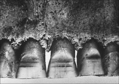 The Norse Mythology Blog | norsemyth.org: Interview with M. D. Lachlan ...