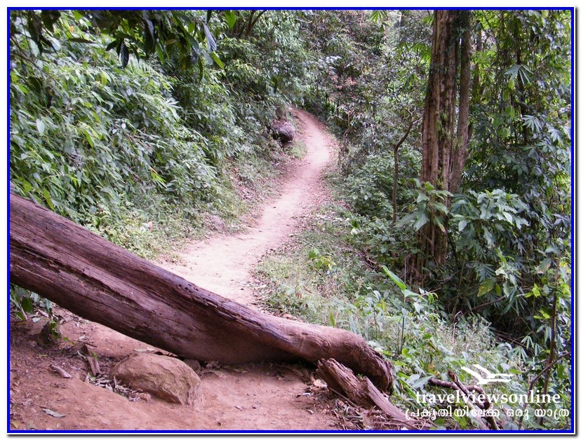 പ്രകൃതിയിലേക്ക് ഒരു യാത്ര (a travel towards NATURE): PULLUMEDU a unique ...