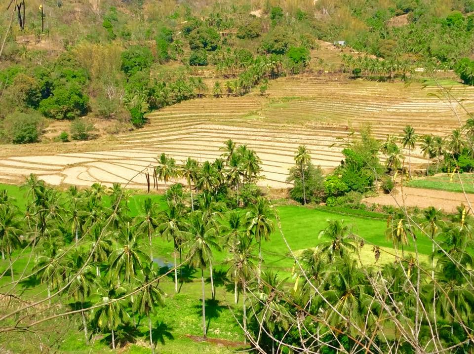 cOyxXx: Rugged Tropical Mountains: Bucari, Leon, Iloilo