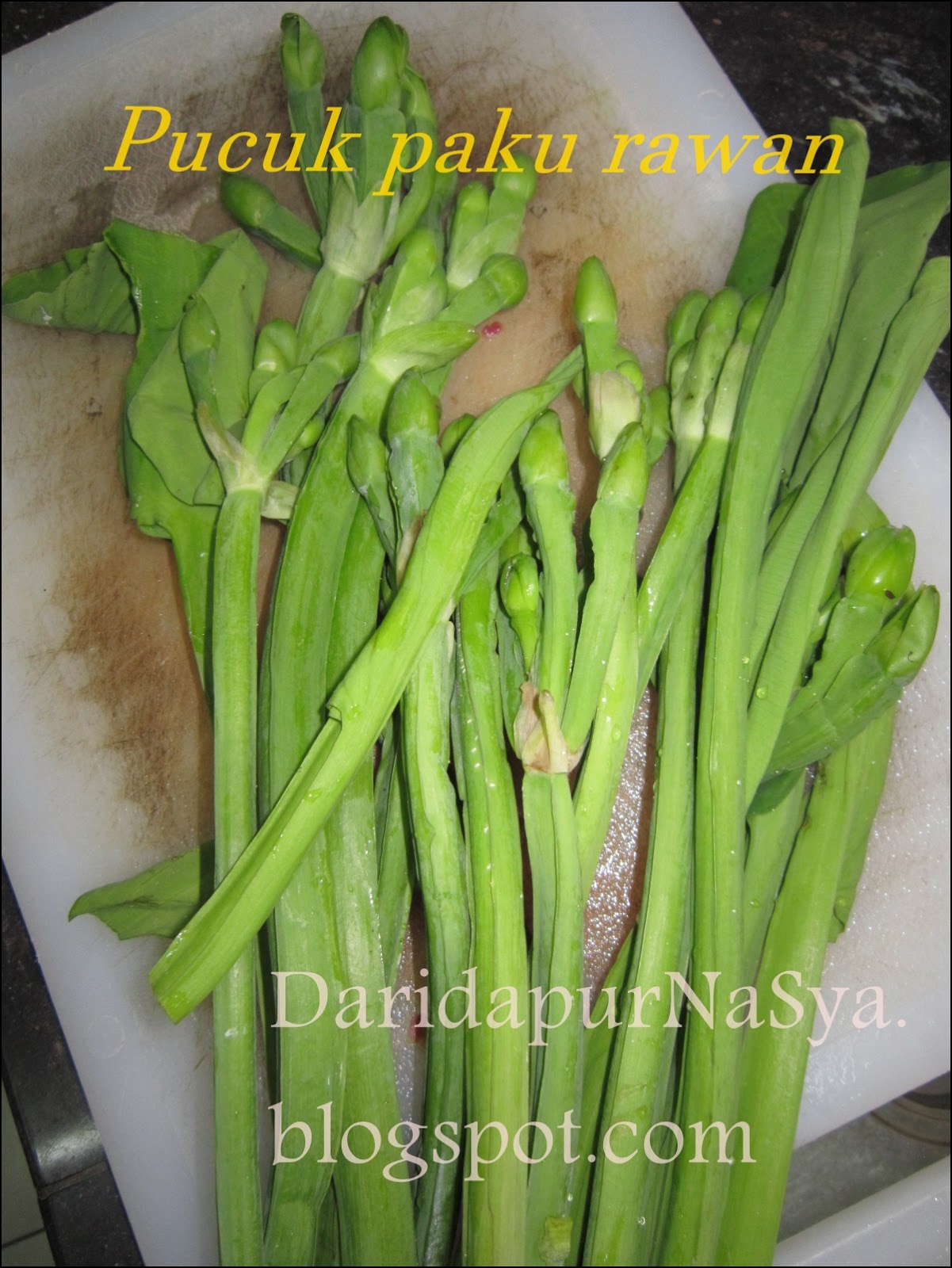 Dari Dapur NaSya: Pucuk paku rawan @ genjer