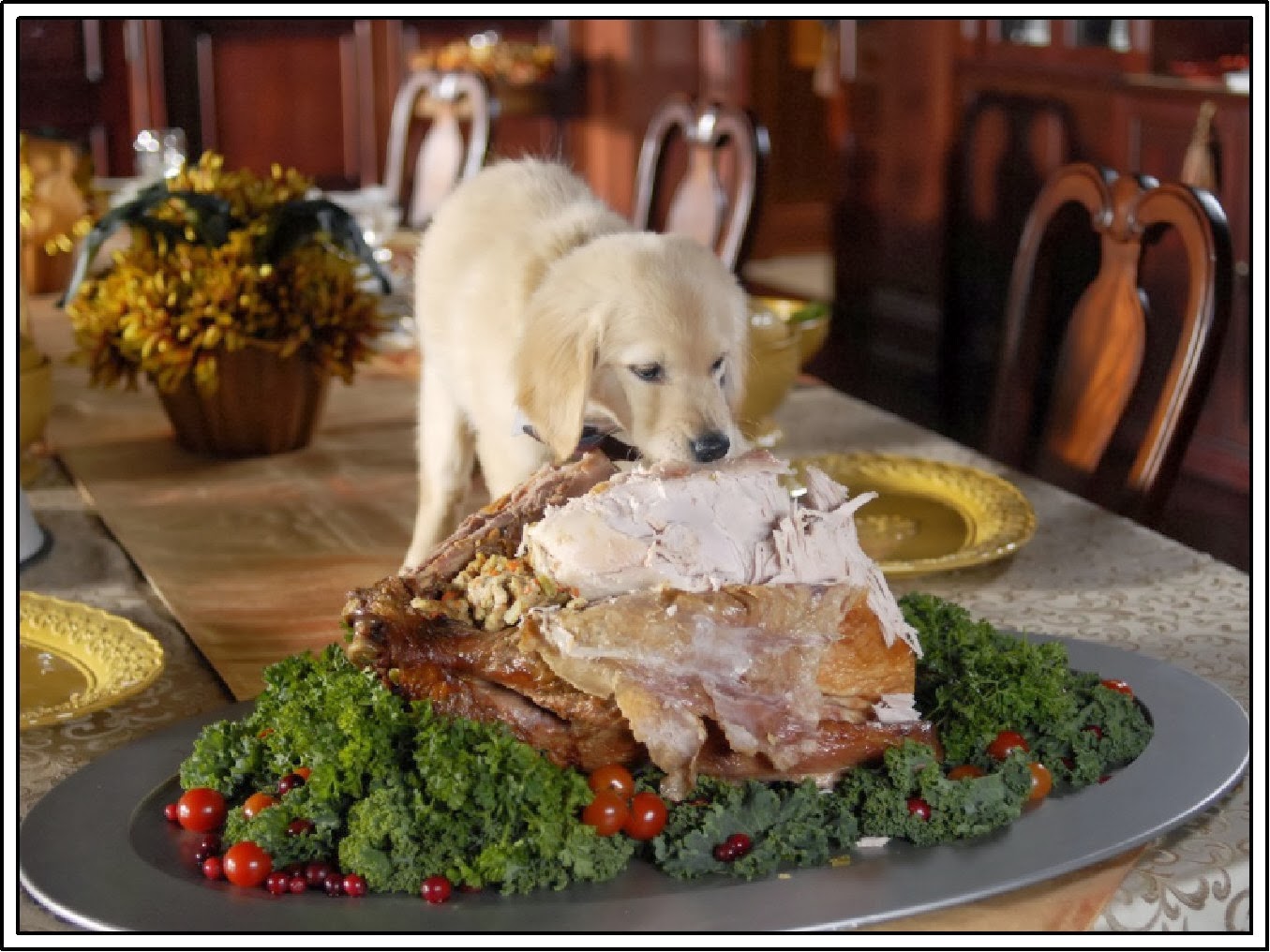 A New Recipe for Cooking A Turkey - Preppy Empty Nester F